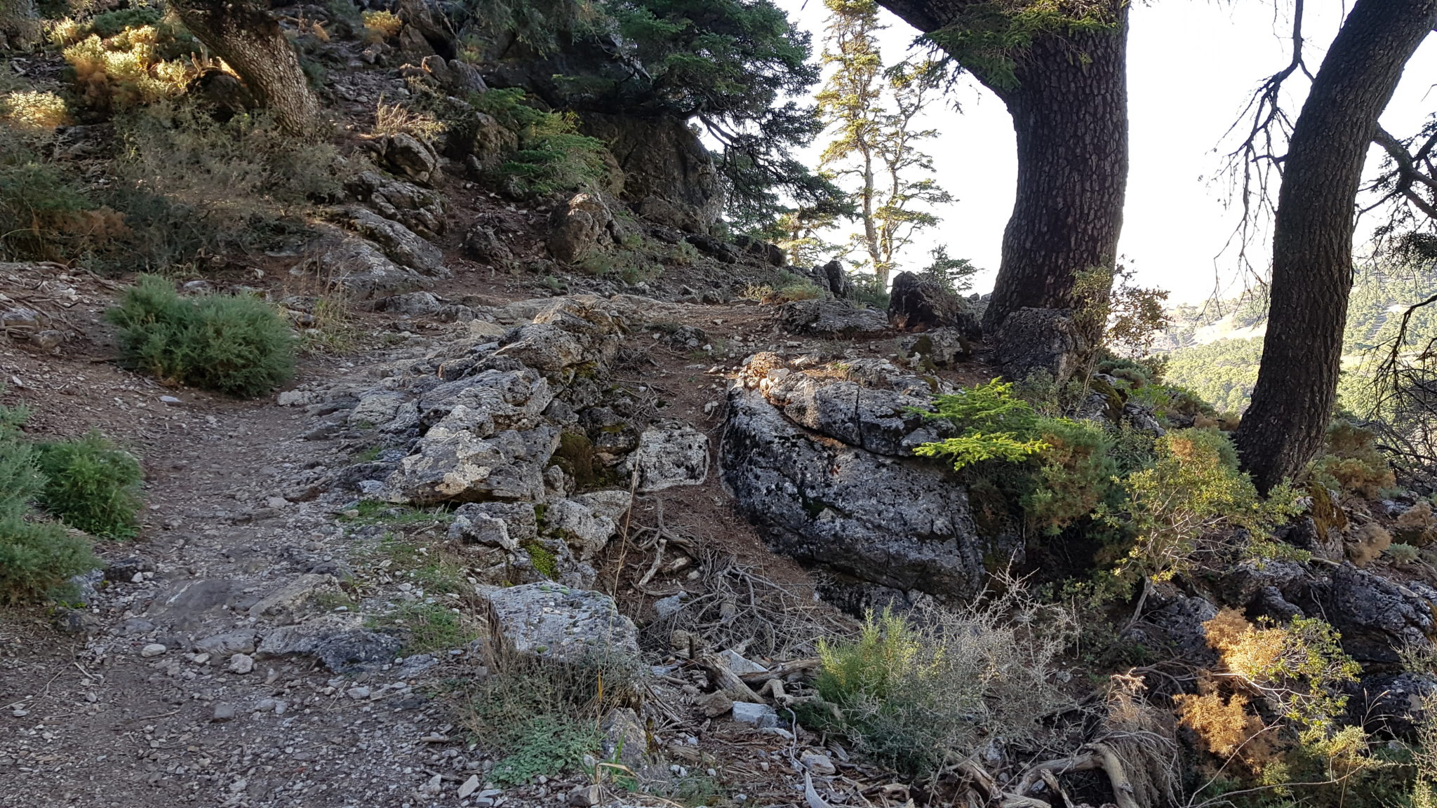 Ruta al Pico Torrecilla desde Quejigales - El peligro de las Ideas Ruta al Pico Torrecilla desde Quejigales - El peligro de las Ideas